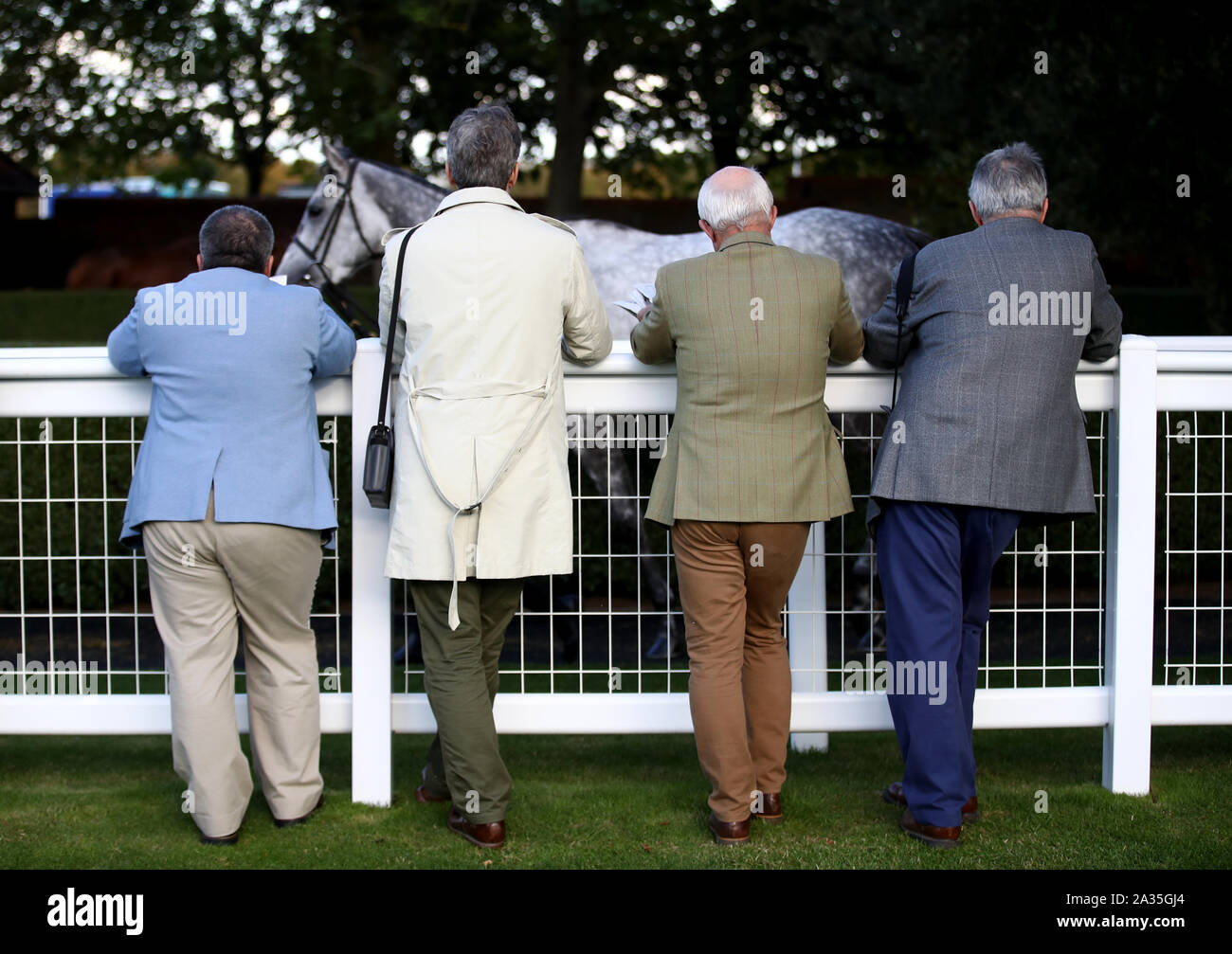 Racegoers look at a horse in the pre-parade ring at Newmarket ...