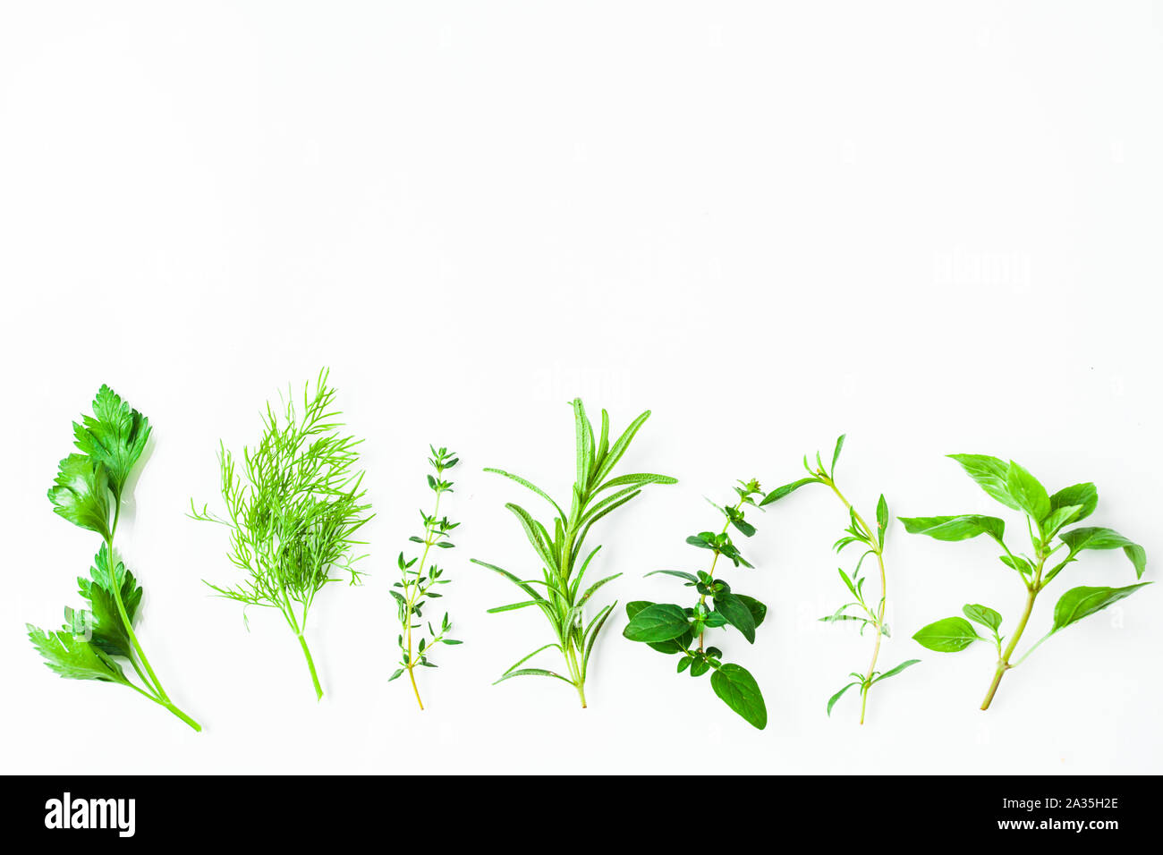 Greenery line art leaves Cut Out Stock Images & Pictures - Alamy