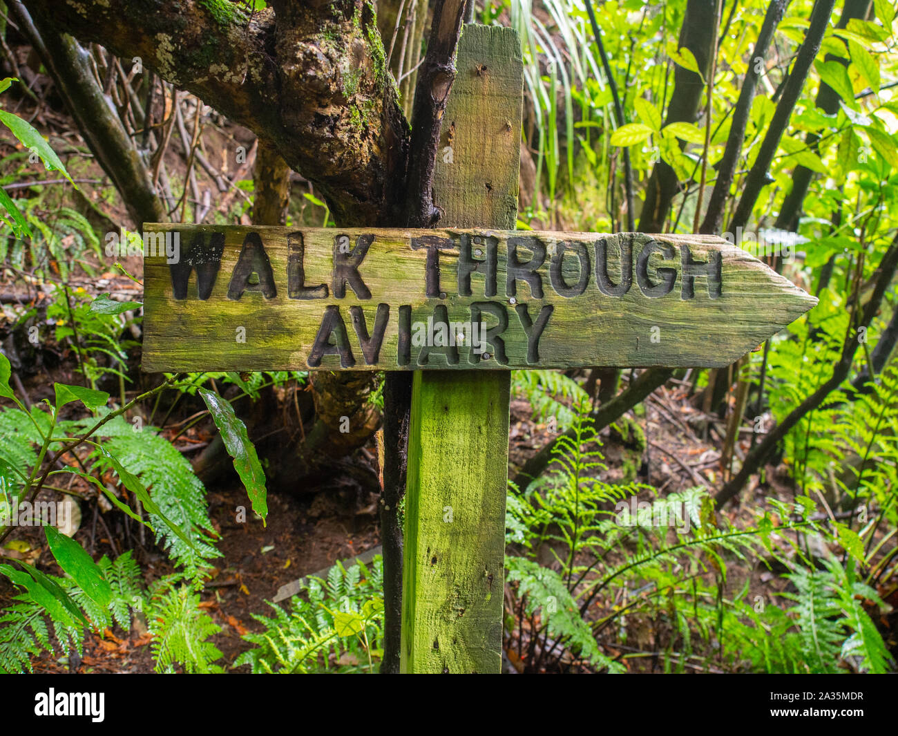 Walk Through Aviary Sign Post Stock Photo - Alamy