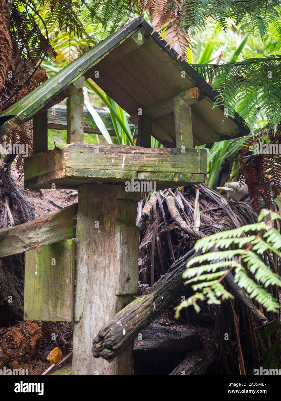 Wooden Bird House In An Outdoor Aviary Stock Photo - Alamy