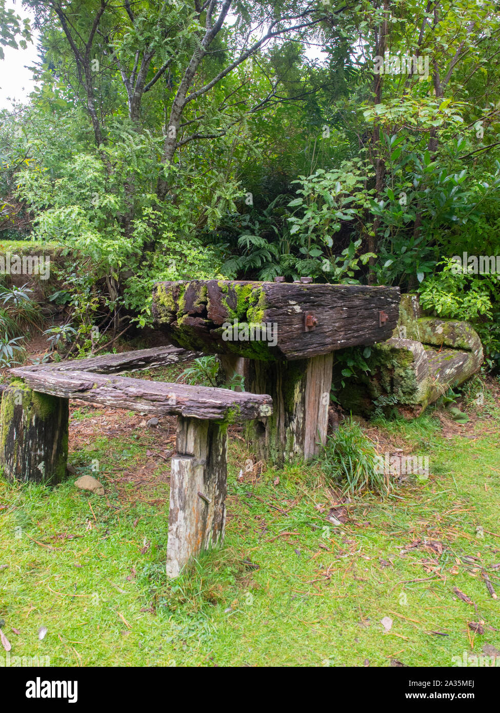 Damp Weathered Picnic Table Outdoors Stock Photo - Alamy
