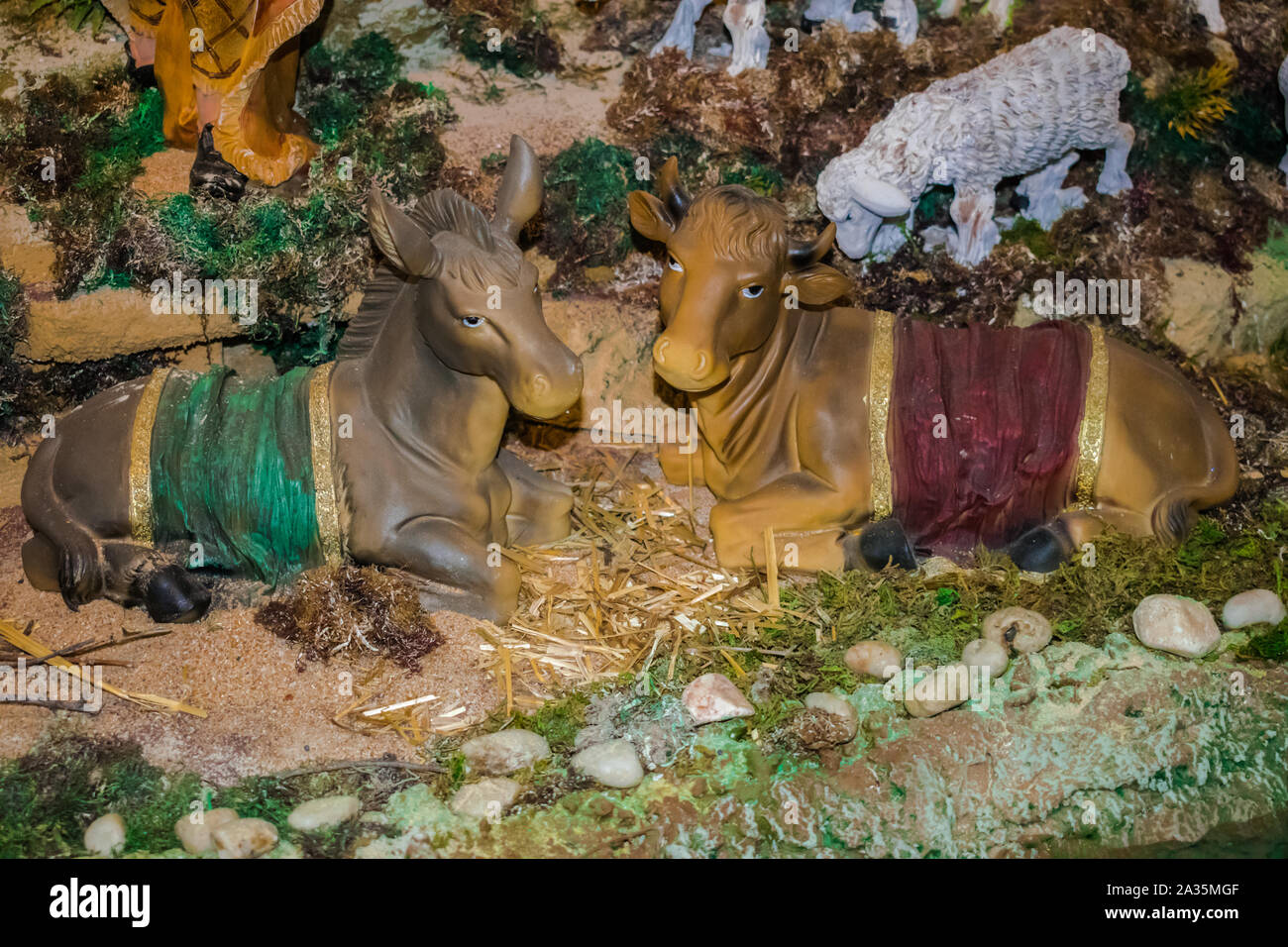 Donkey christmas figure hi-res stock photography and images - Alamy