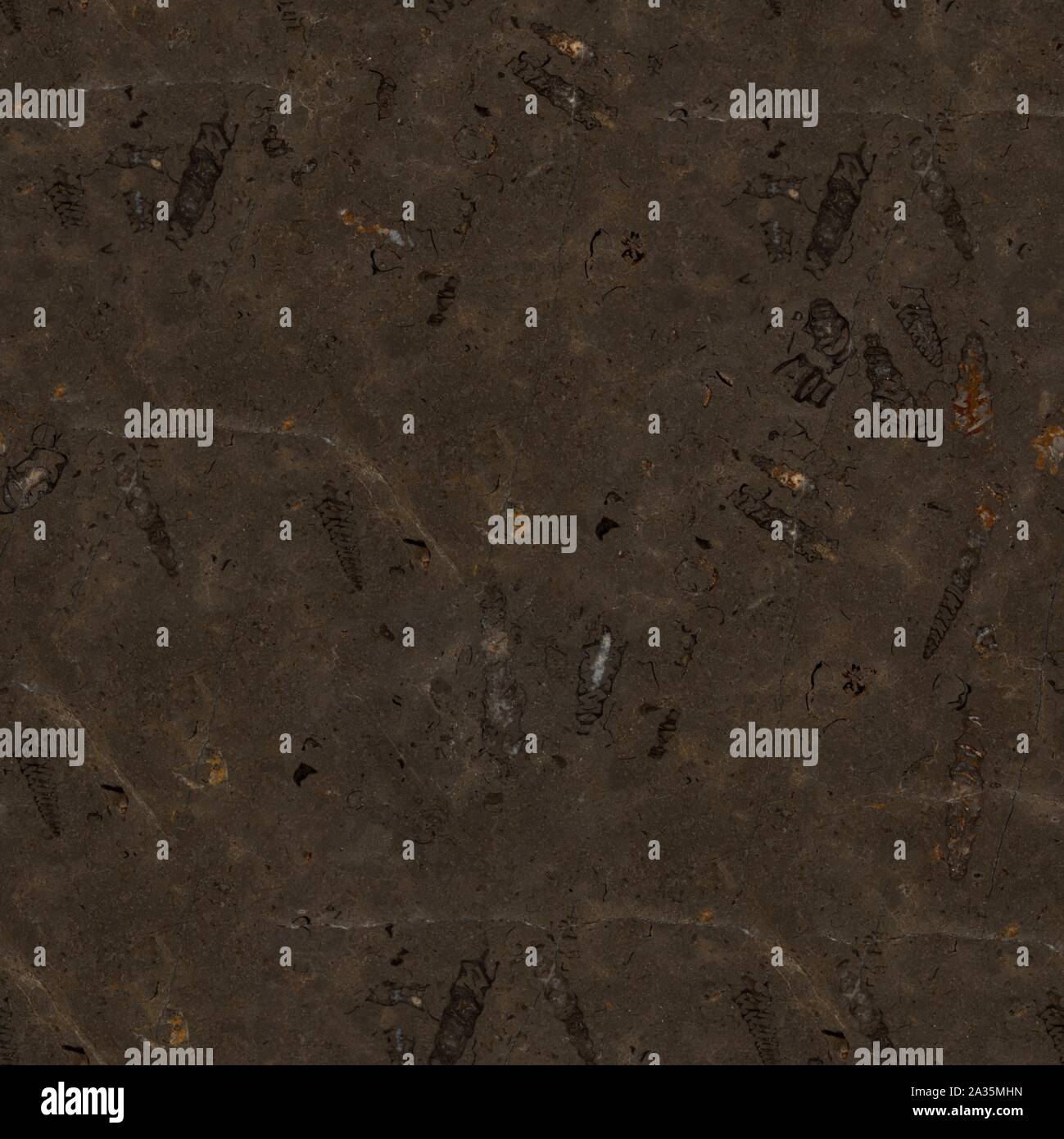Dark brown marble texture. Seamless square background, tile ready Stock ...