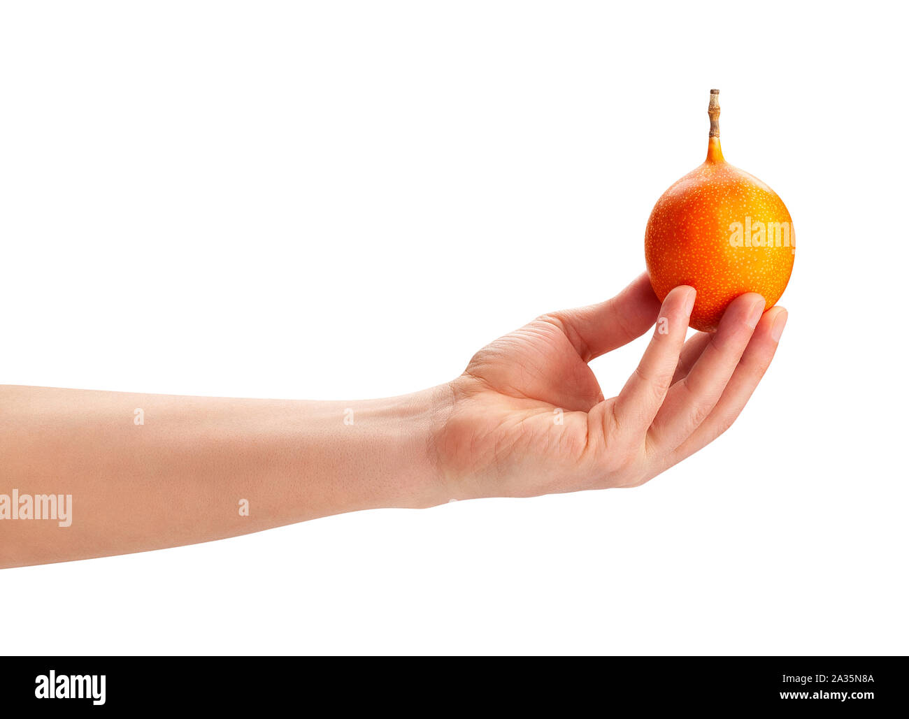granadilla passion fruit in hand path isolated on white Stock Photo - Alamy