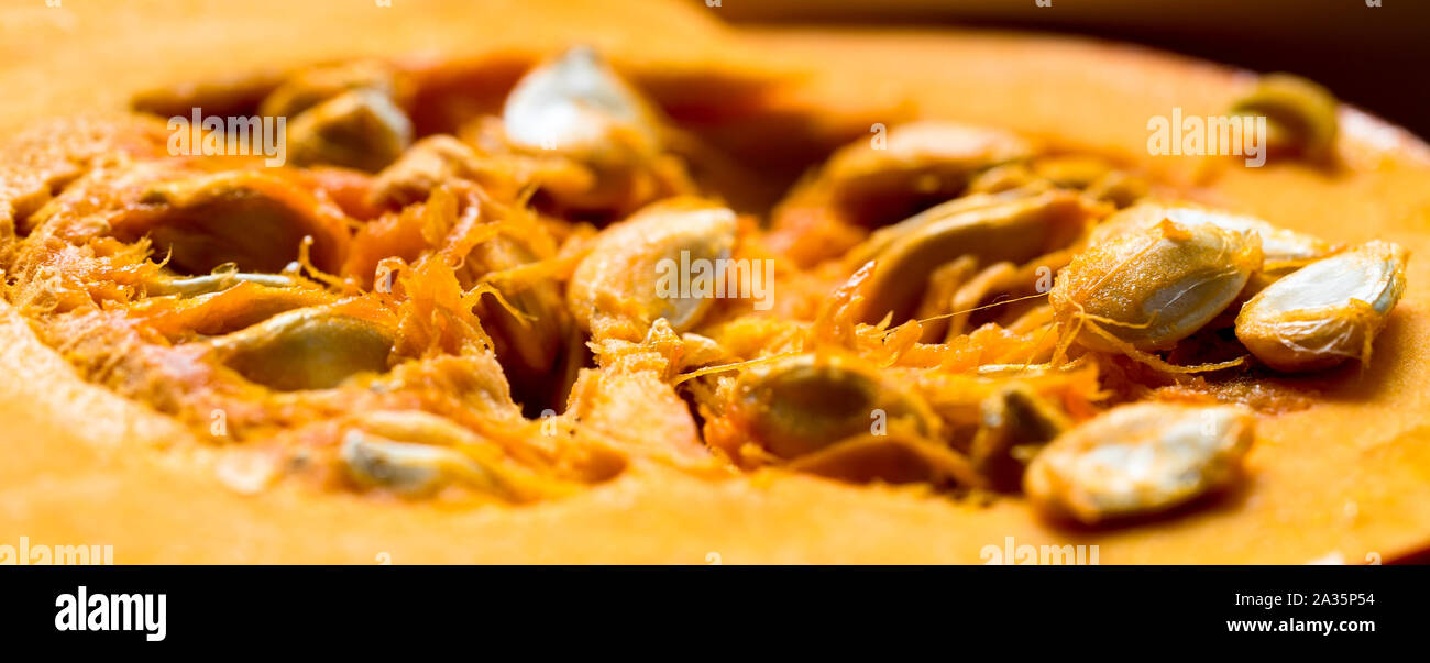 A macro close up view of pumpkin pulp and seeds Stock Photo - Alamy