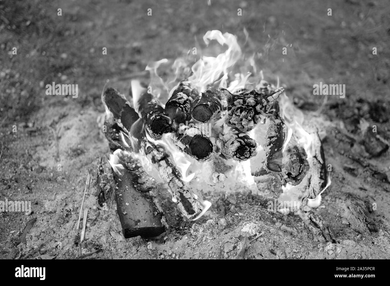 Burning and charred wood logs in a fire on a sandy platform Stock Photo ...
