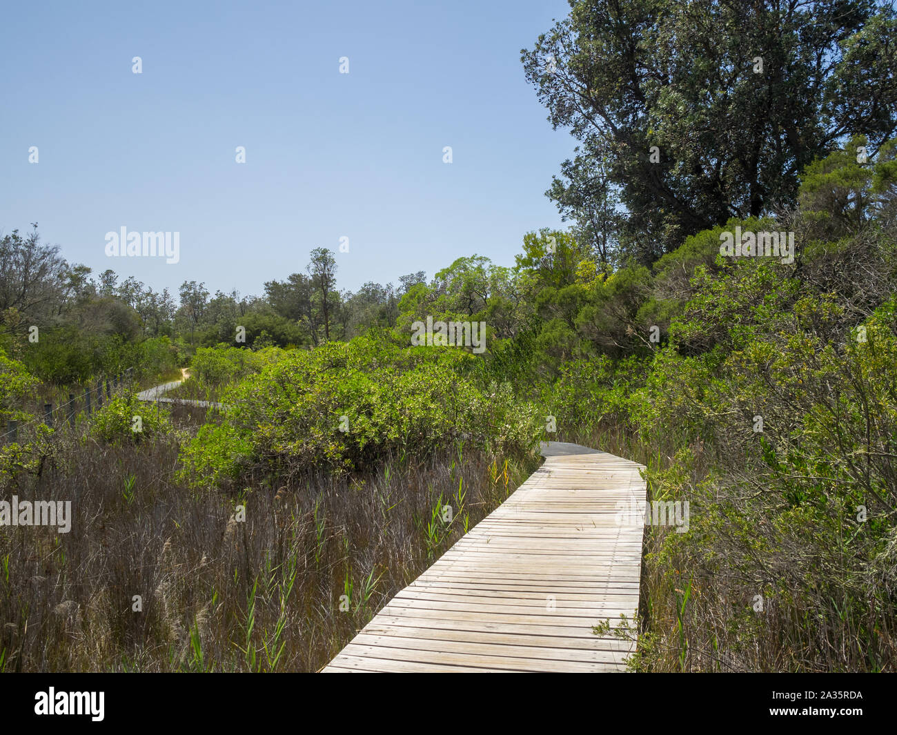 The Entrance Walk path in Lakes Entrance, Victoria, Australia Stock ...