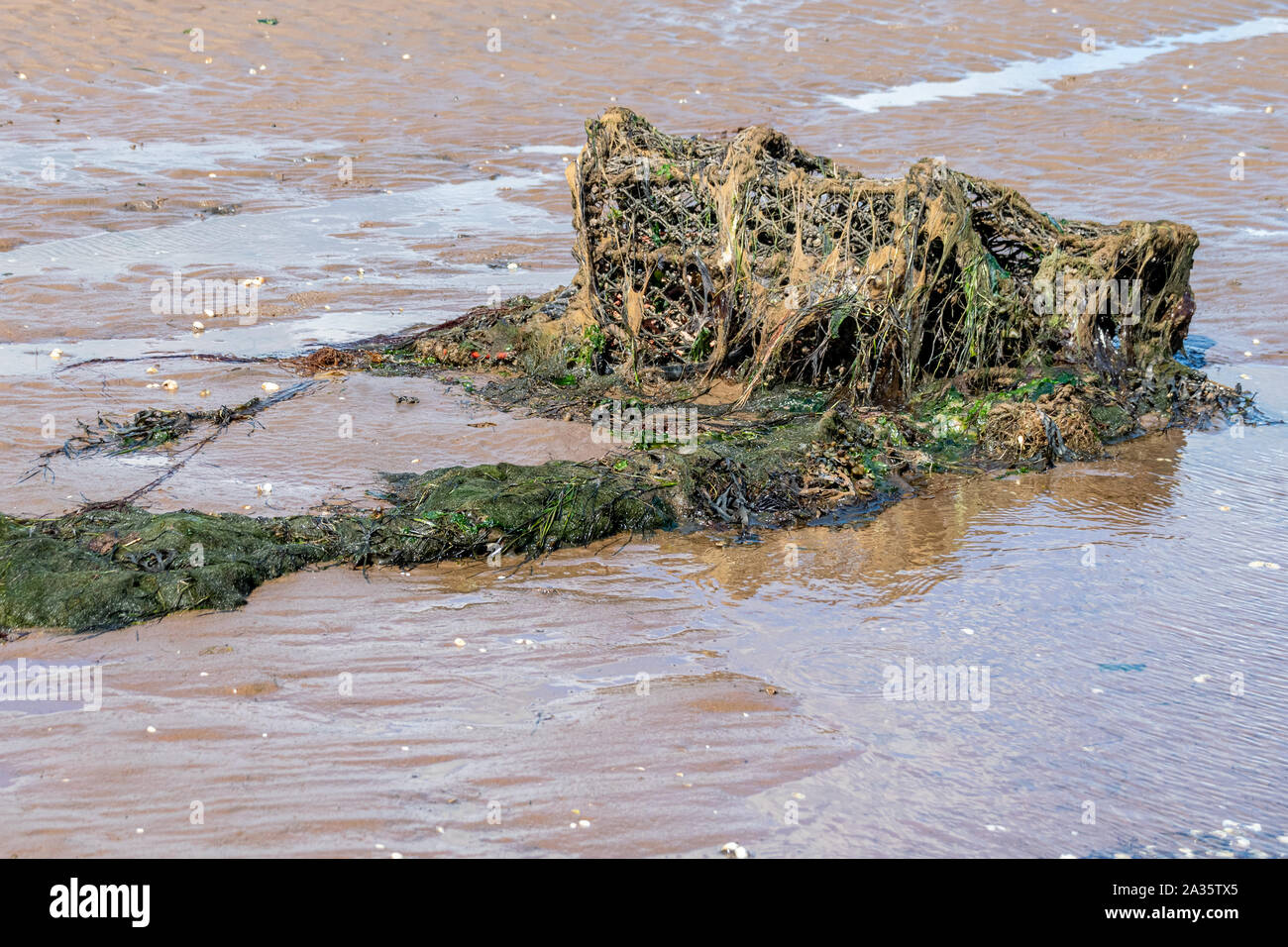 Marine pollution with discarded fishing net pots covered in seaweed and ...
