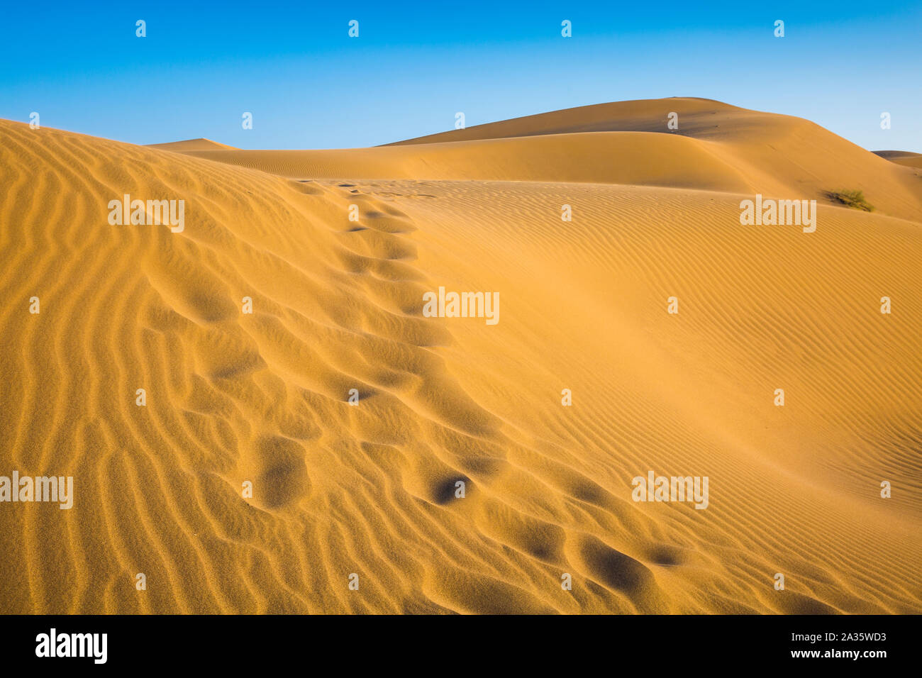 Dunes view hi-res stock photography and images - Alamy