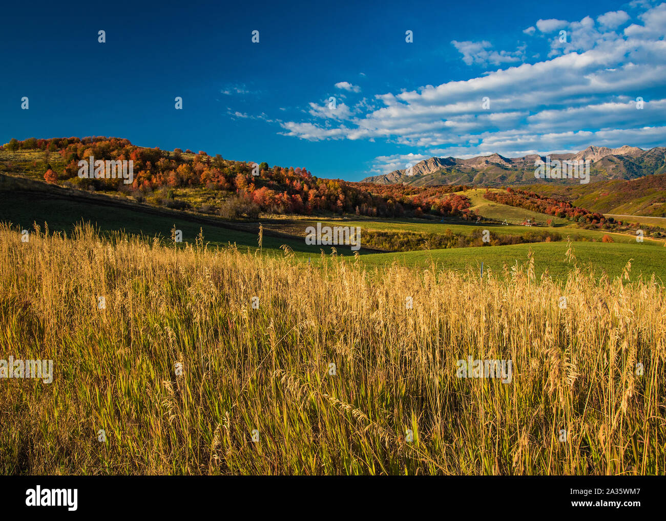 Rural Settings High Resolution Stock Photography and Images - Alamy