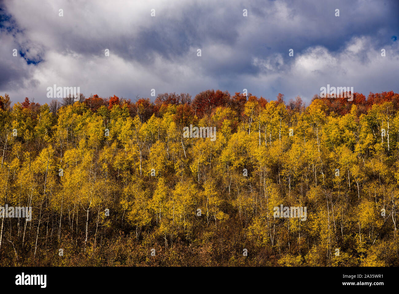 Rural settings hi-res stock photography and images - Alamy