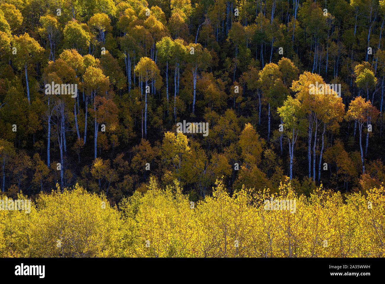 Rural settings hi-res stock photography and images - Alamy