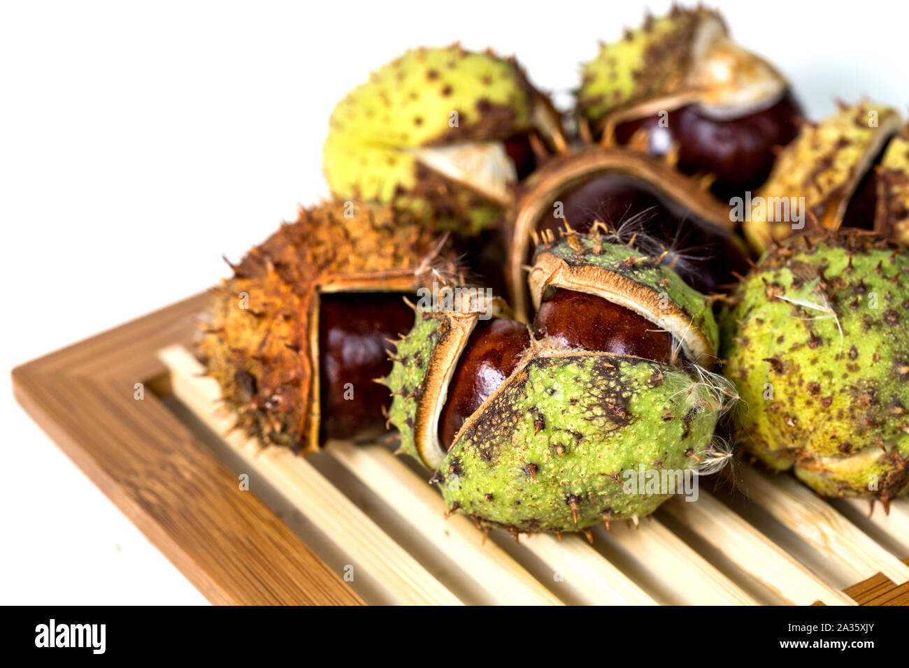 Chestnut on a white background in a skin on a small plank Stock Photo ...