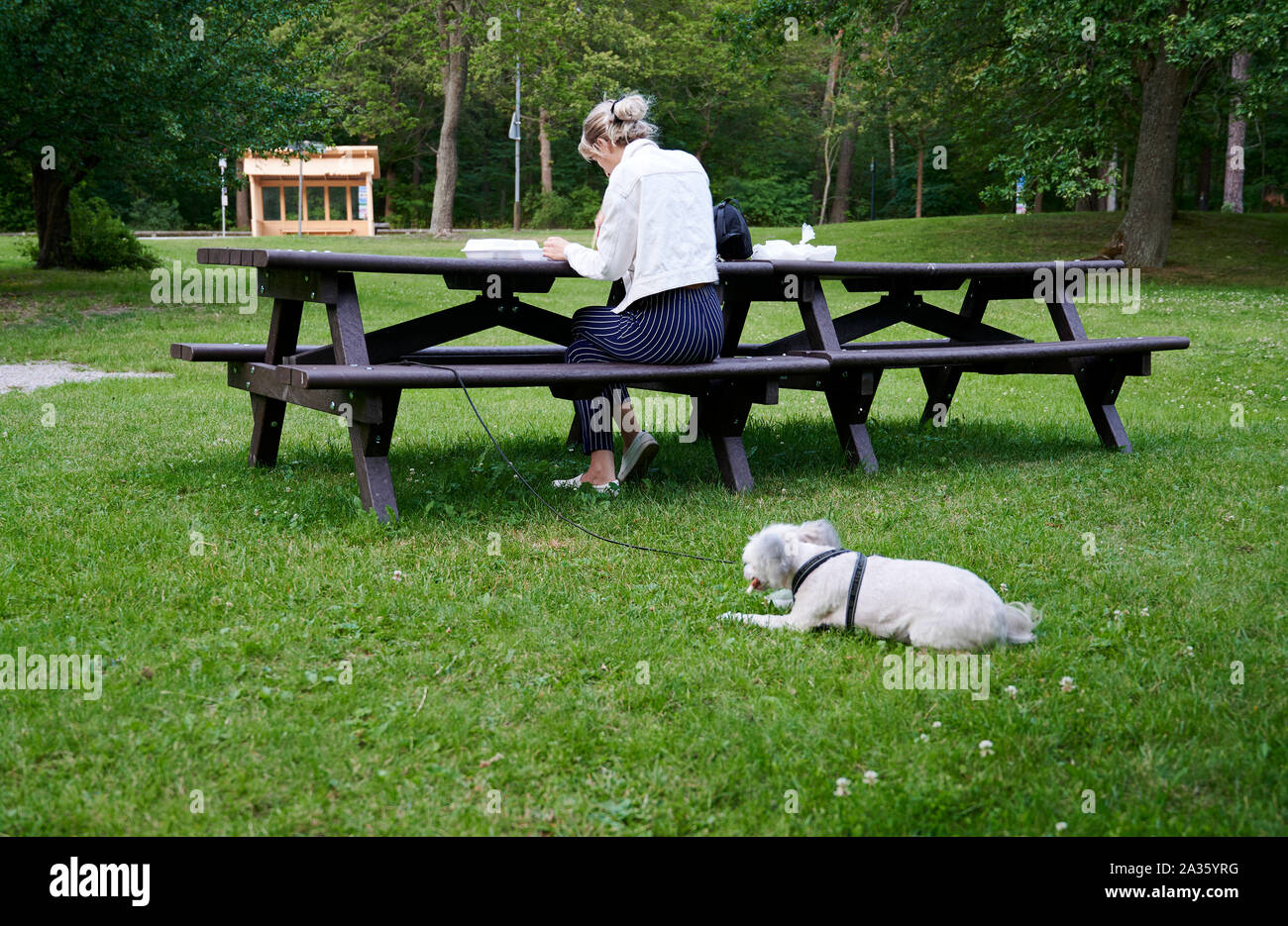 En flicka har tagit med sig sin hund och sushi till en vacker platts på ... En flicka har tagit med sig sin hund och sushi till en vacker platts på ...