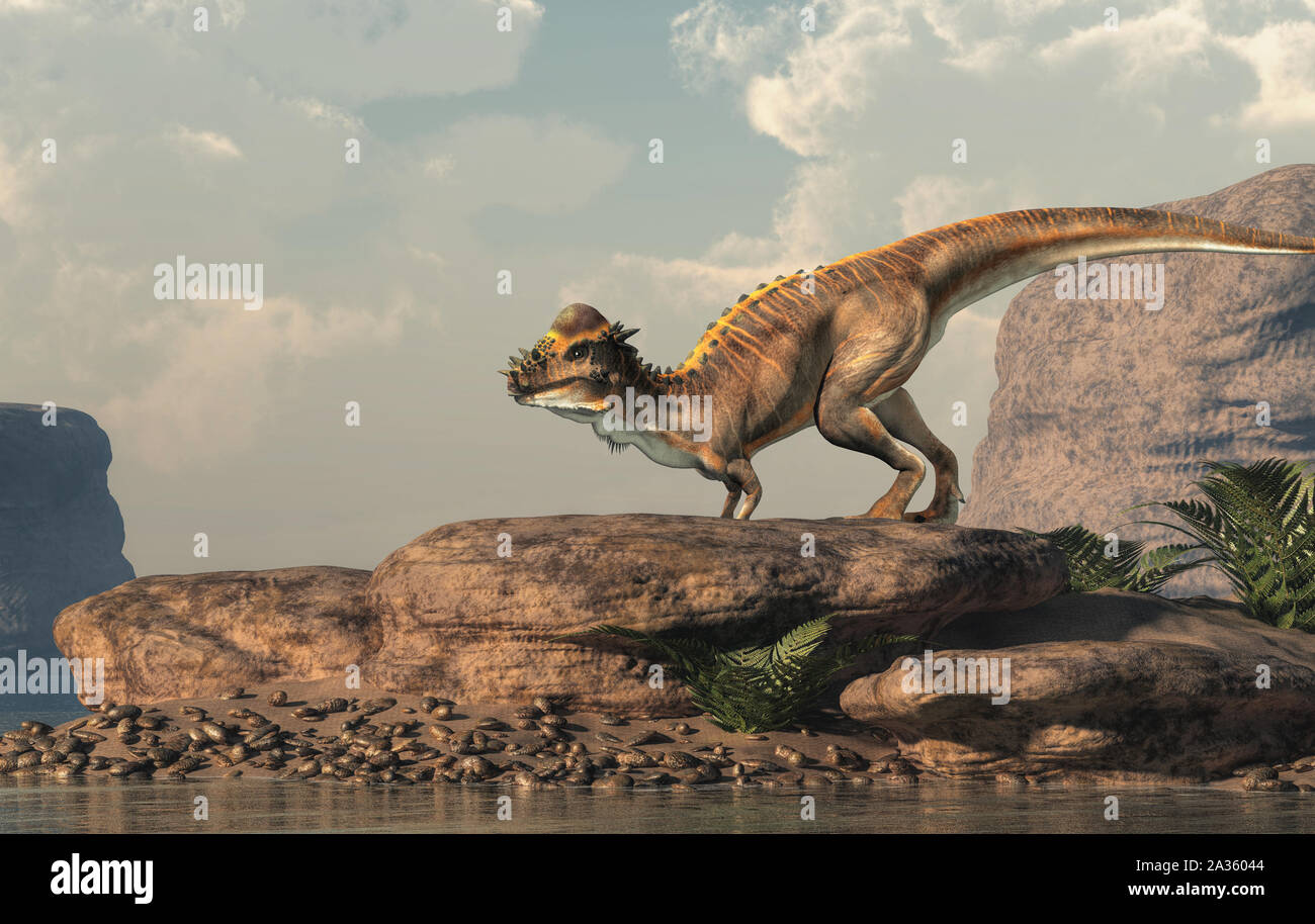 A brown Pachycephalosaurus stands by an arid lake. Pachycephalosaurus ...
