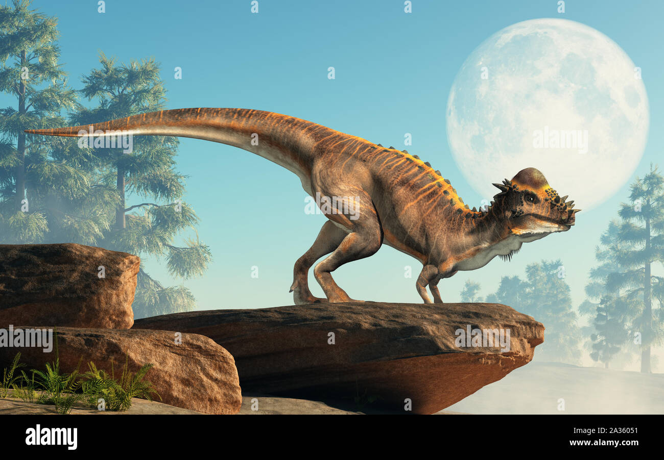 A brown Pachycephalosaurus on a cliff by the moon. Pachycephalosaurus ...
