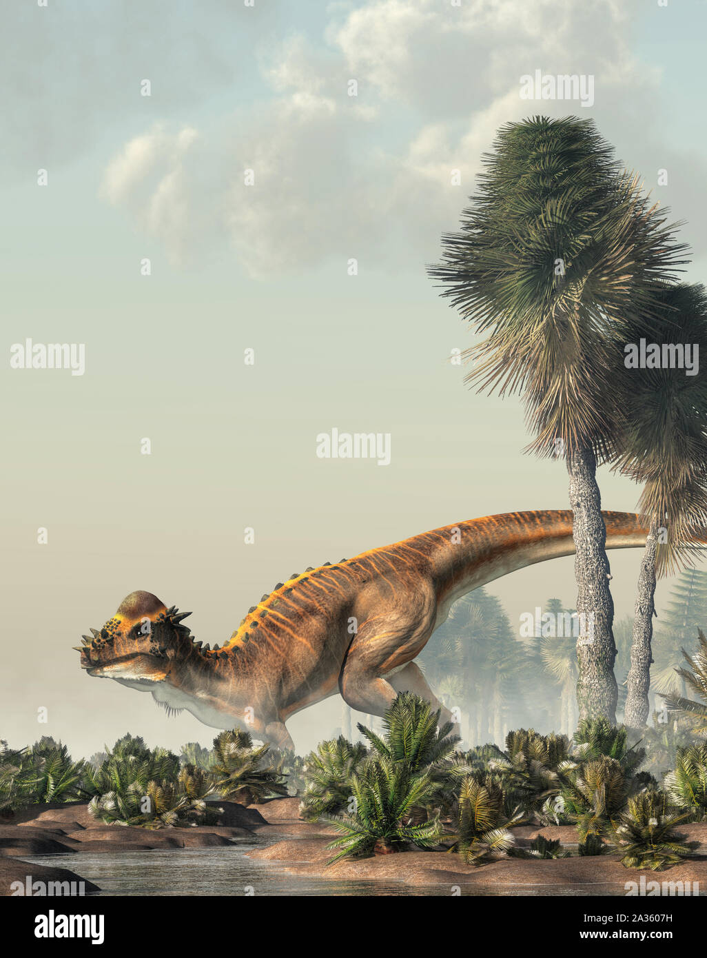 A brown Pachycephalosaurus in a prehistoric wetland. Pachycephalosaurus ...