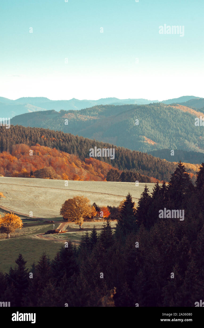 Black forest landscape in hi-res stock photography and images - Alamy