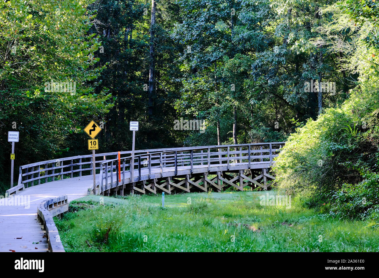 Boardwalk Bridge Curving Through Forest Stock Photo - Alamy