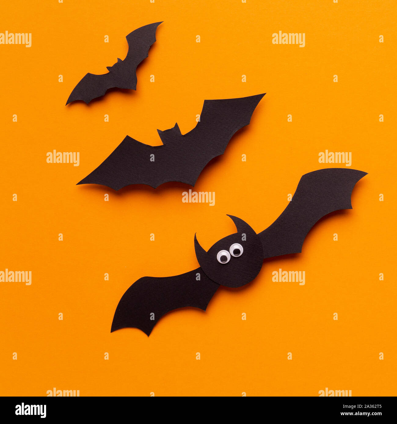 Funny bats hi-res stock photography and images - Alamy