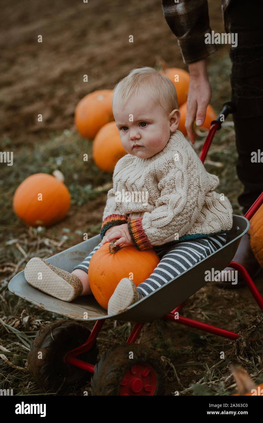 Mini wheelbarrow hi-res stock photography and images - Alamy