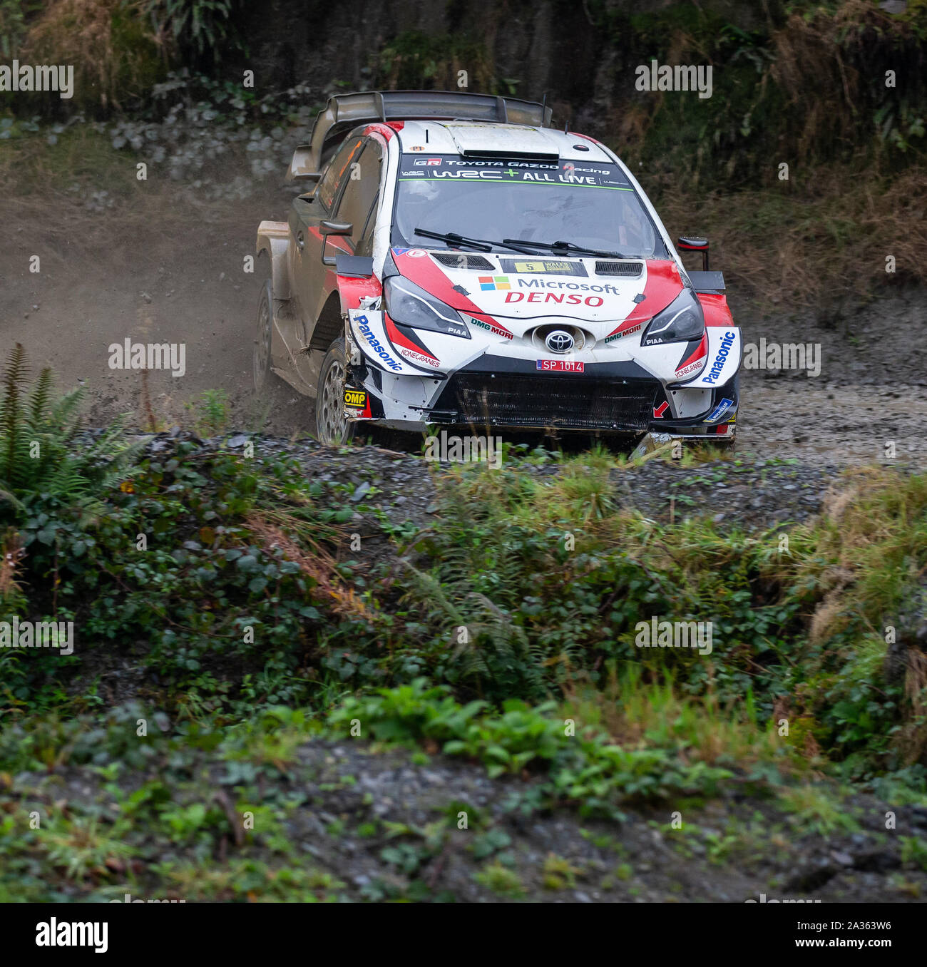 Dyfi, Gwynedd, UK. 5th Oct, 2019. WRC Wales Rally GB, Stage 16; Toyota ...