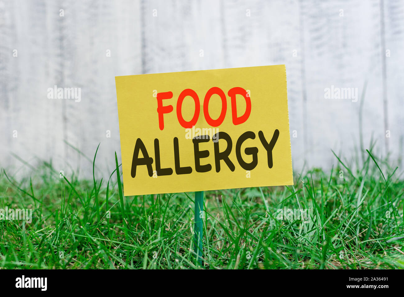 Writing note showing Food Allergy. Business concept for an abnormal ...
