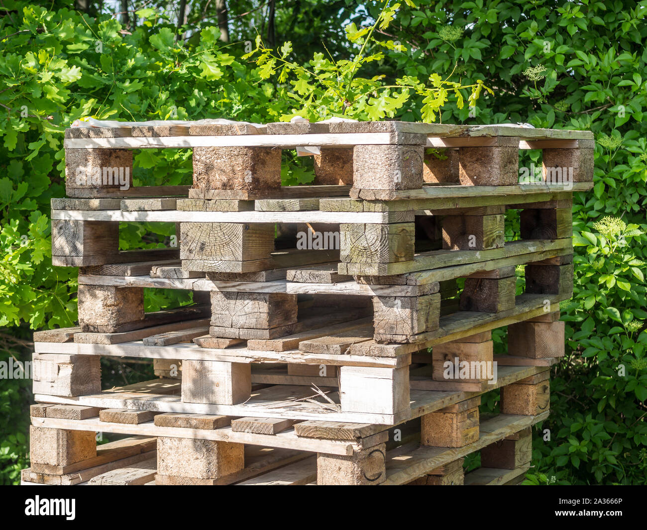 industry wooden pallets Stock Photo - Alamy
