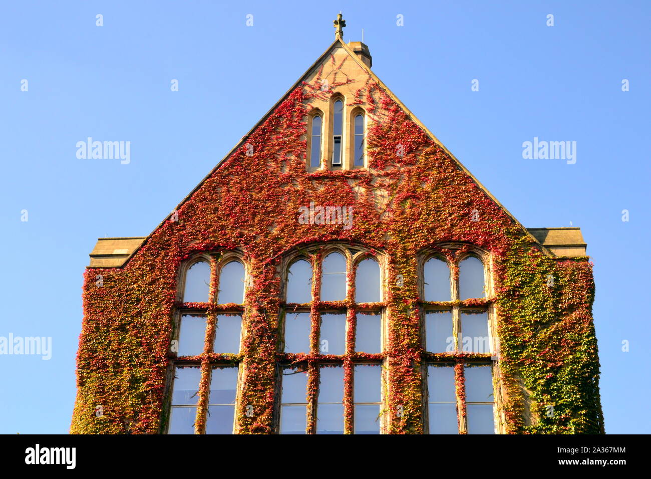 Old ivy covered building in the quadrangle at the University of ...