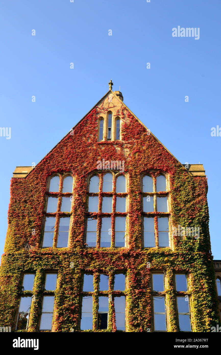 Old ivy covered building in the quadrangle at the University of ...