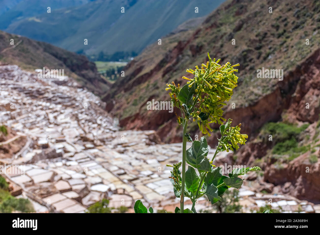 Salt Mines Pattern High Resolution Stock Photography and Images - Alamy