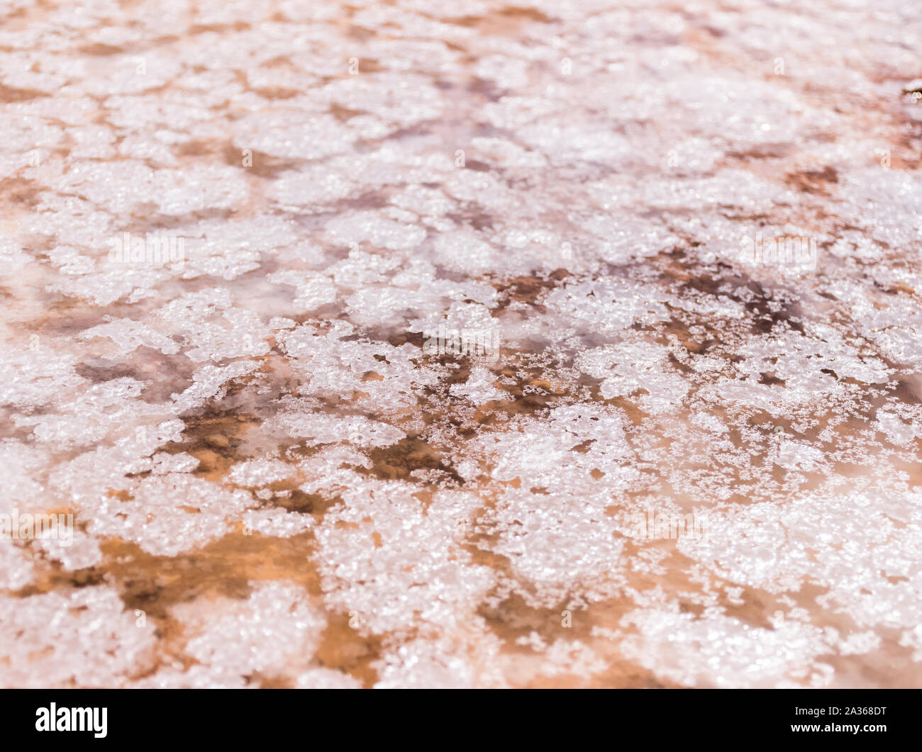 Sacred Valley, Peru - 05/21/2019: The ancient salt mines of Maras, Peru ...