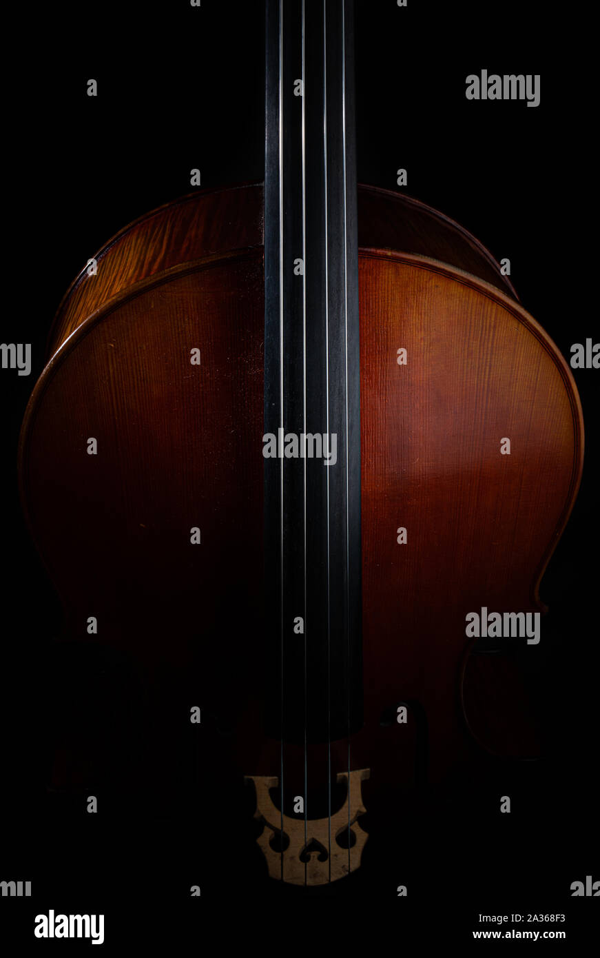 Close up high resolution photo of a cello, showing strings, body, and ...