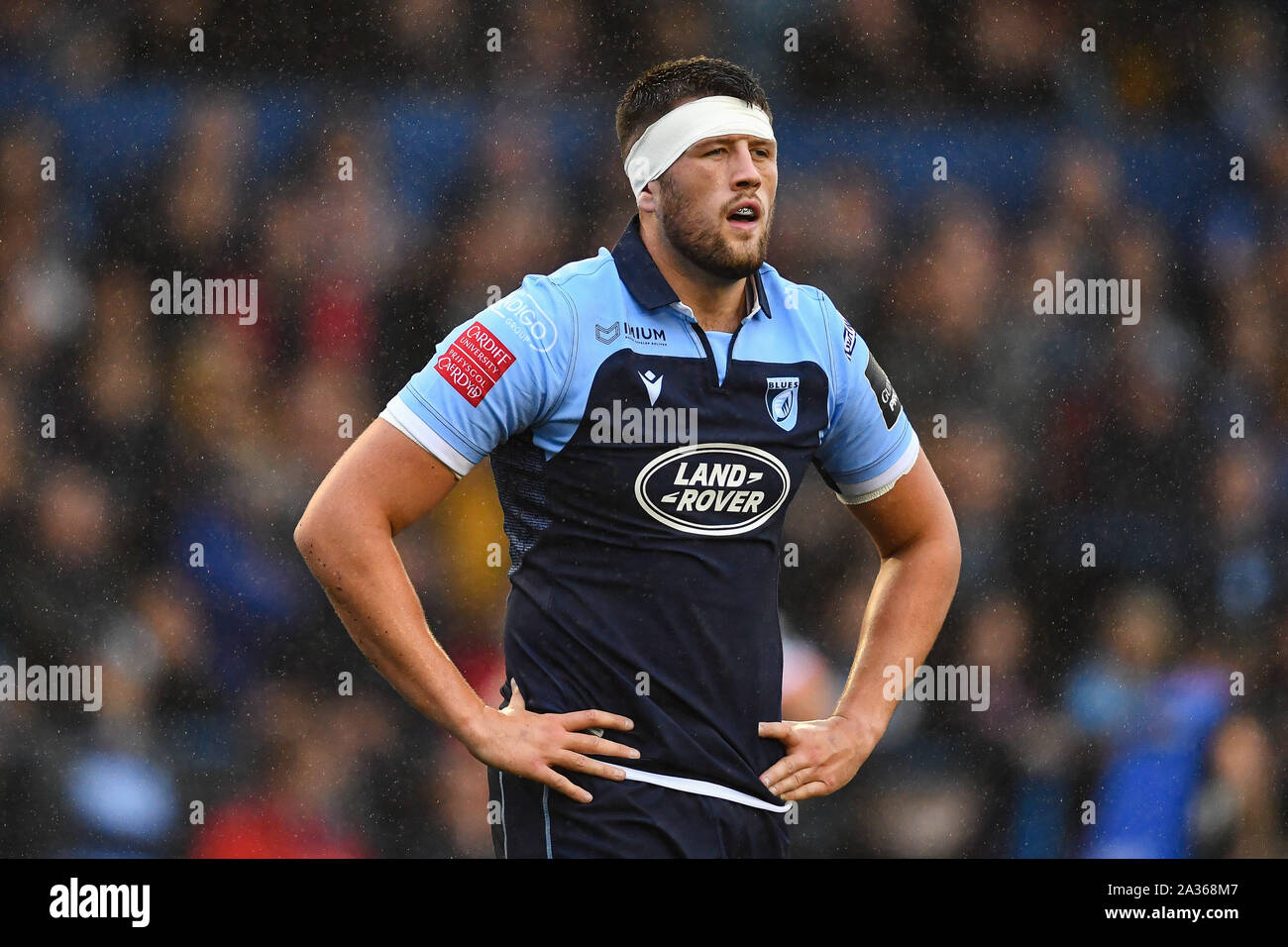 Rory thornton hi-res stock photography and images - Alamy