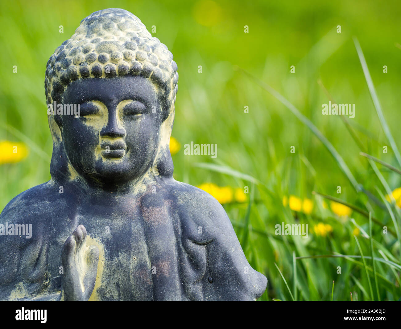 Buddha nature statue Stock Photo - Alamy