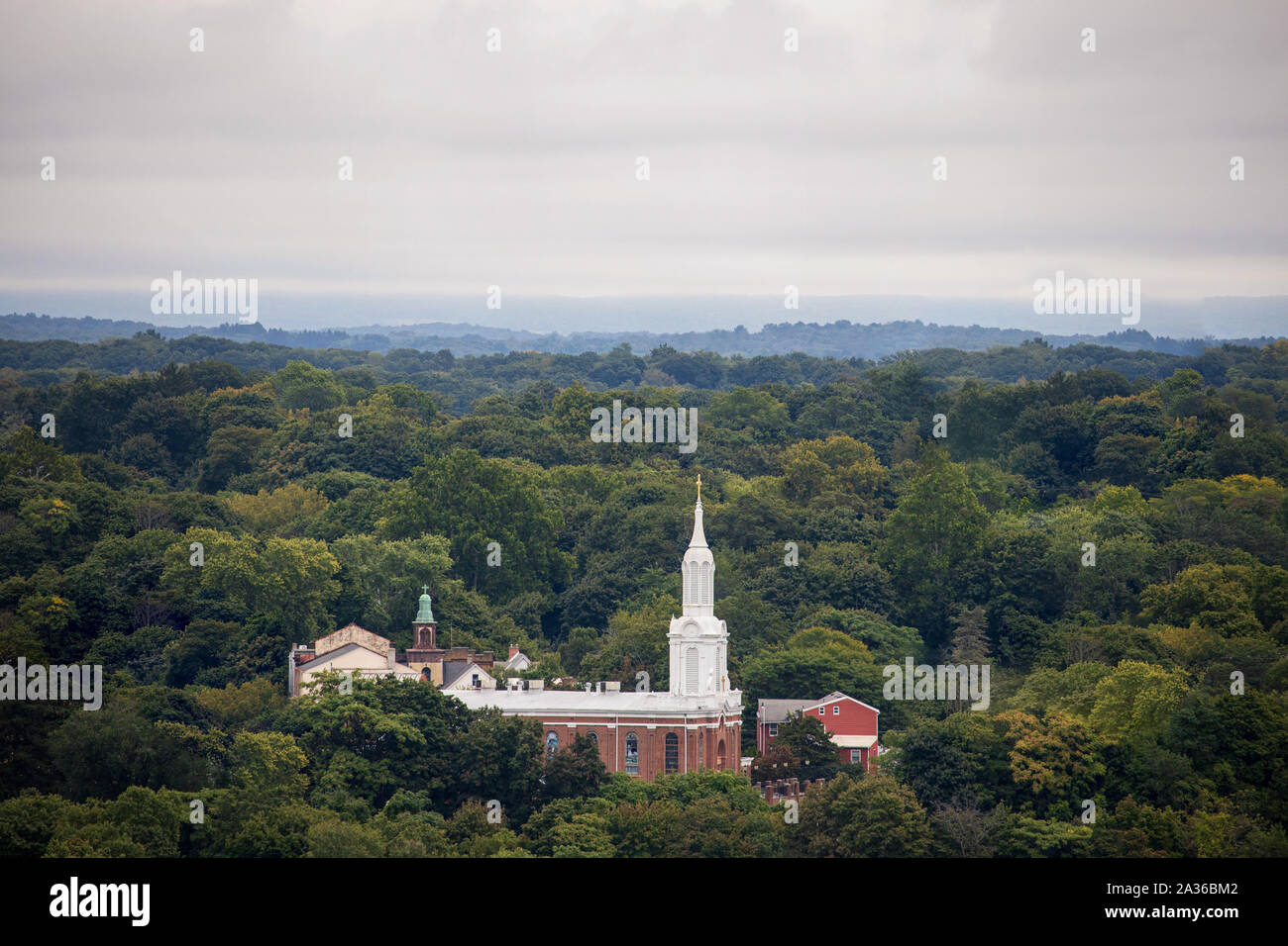 White spire on brick building rises above sea of green trees Stock ...