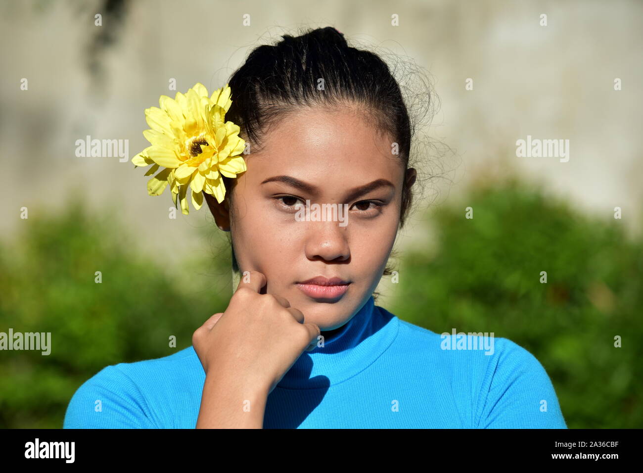 Indifferent flowers hi-res stock photography and images - Alamy