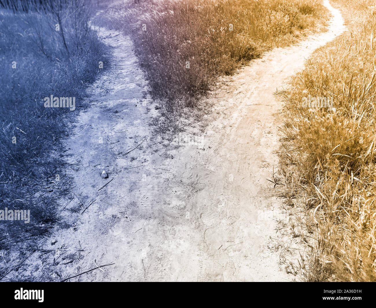 Fork of a road path in a field. Two ways with different colors. Concept ...