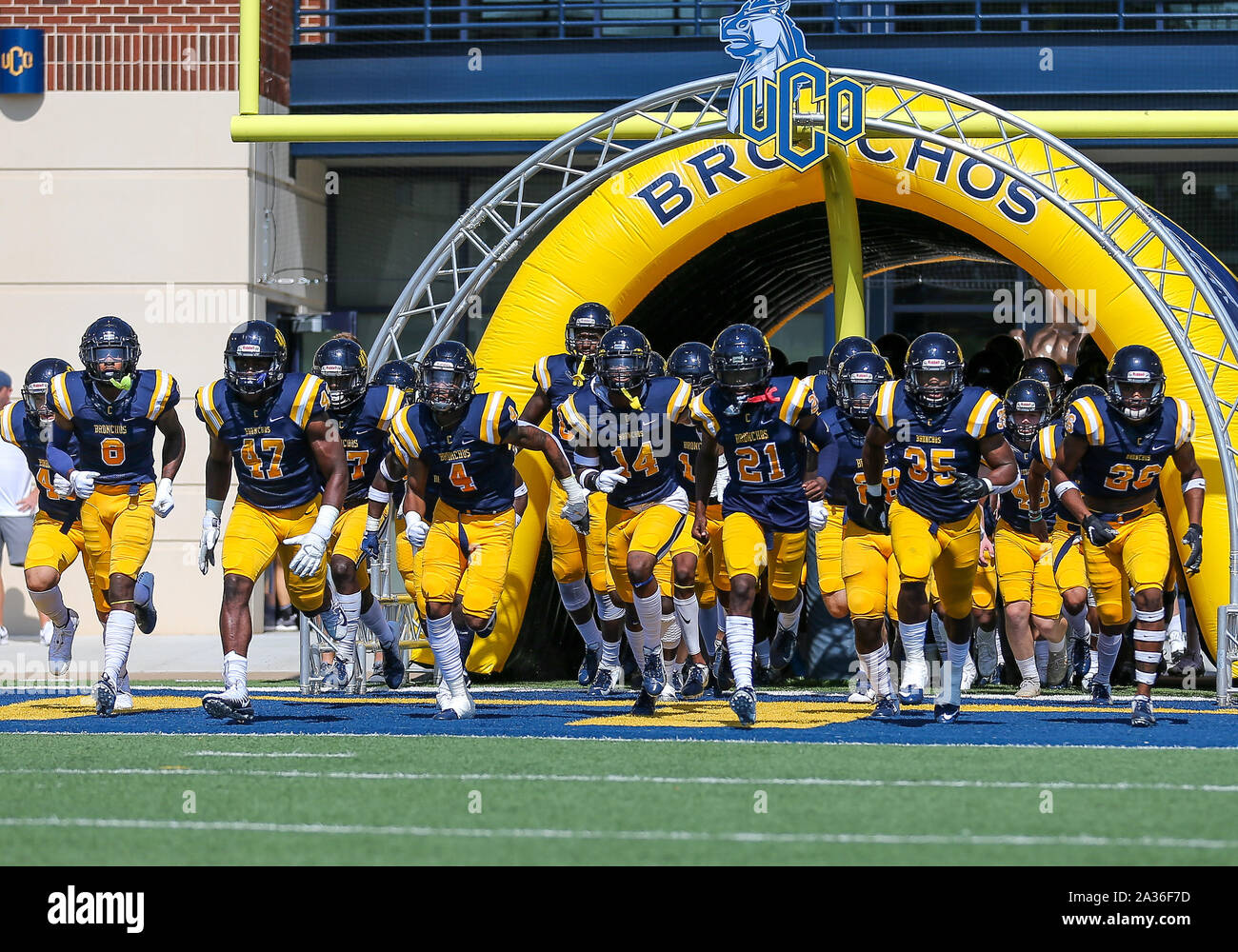 Miaa a hi-res stock photography and images - Alamy