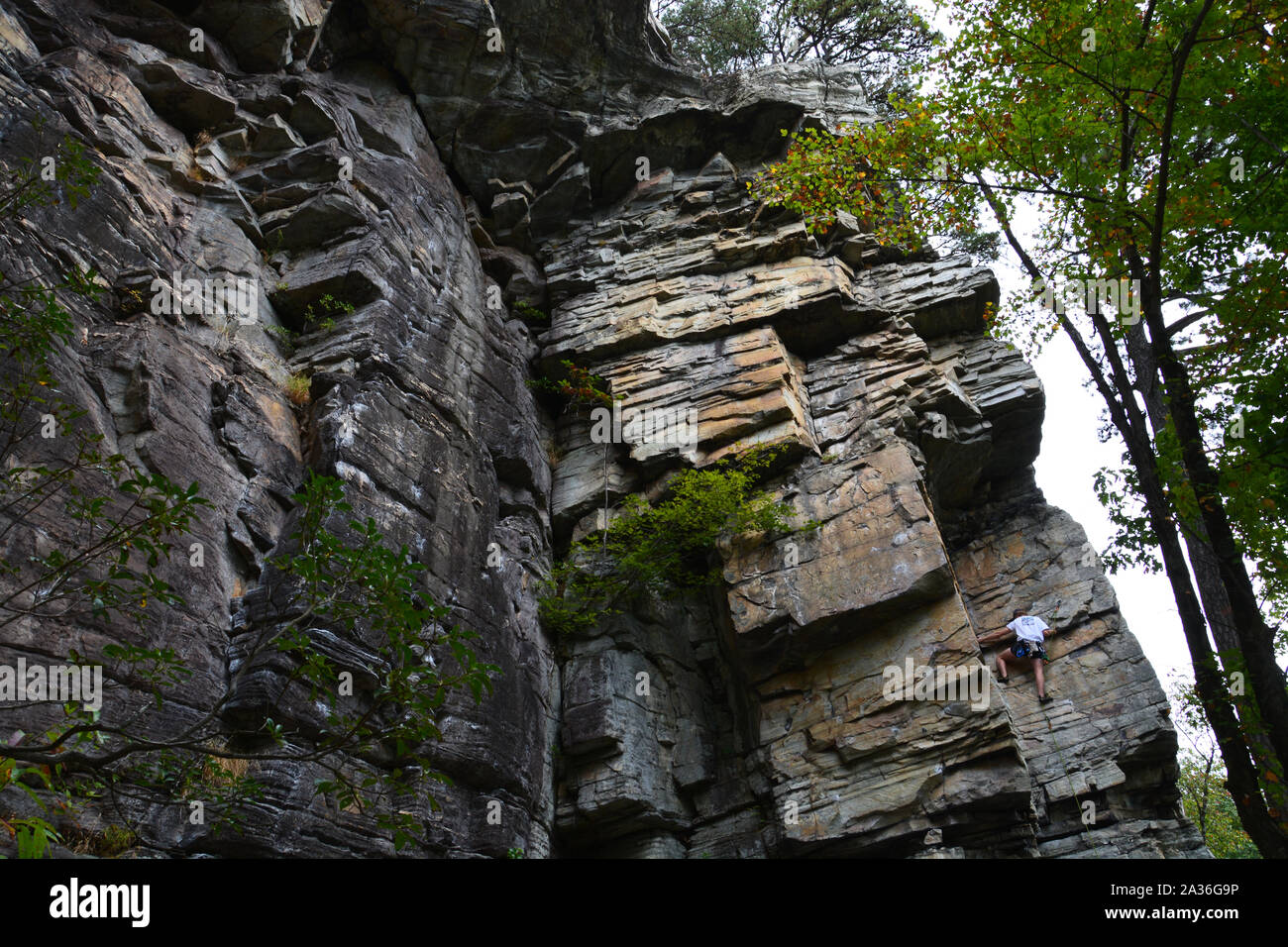 Looking up at a male climber working up the Amphitheater cliff face on ...