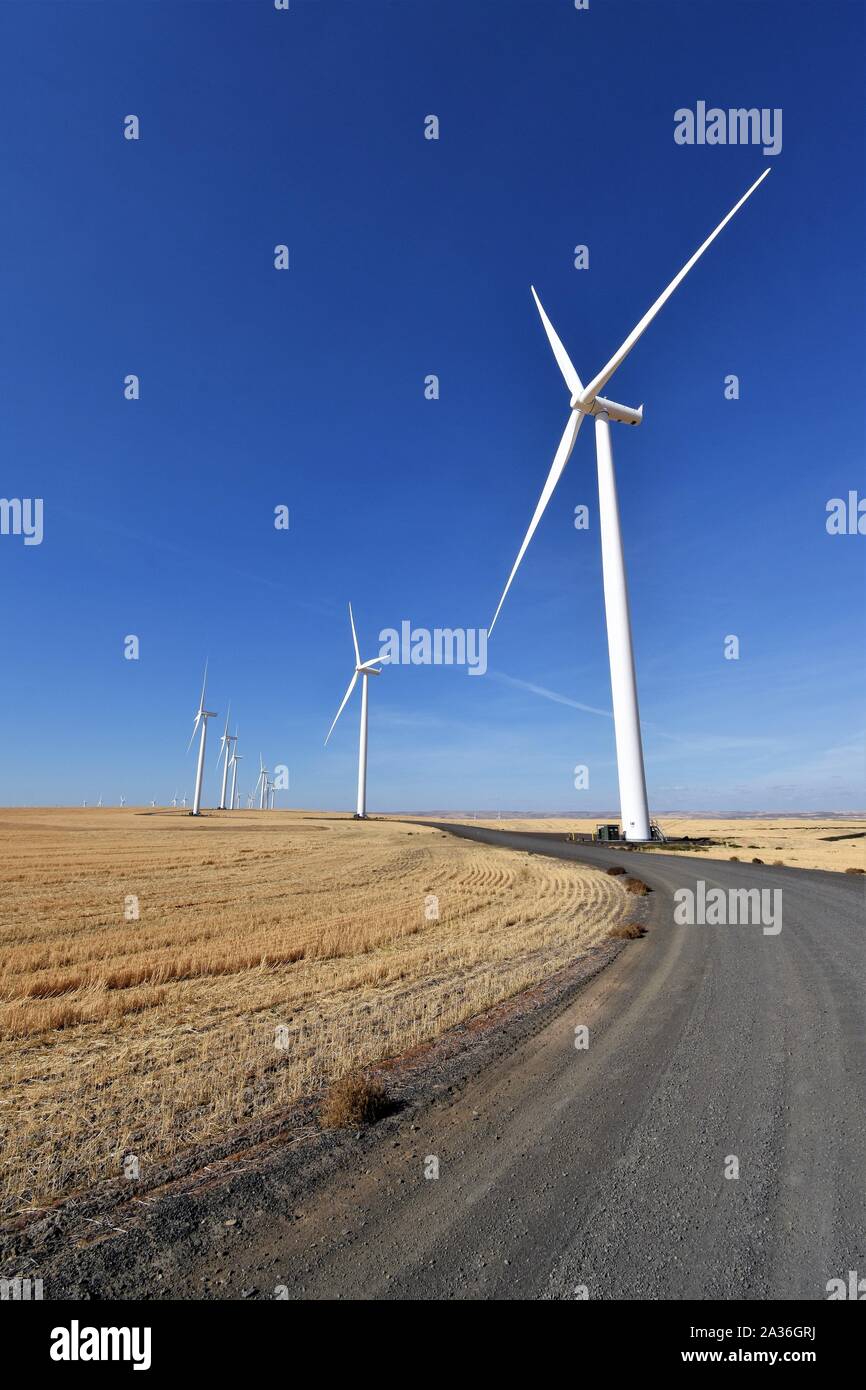 Wind turbines in far southeastern Washington state, in the USA, in the ...