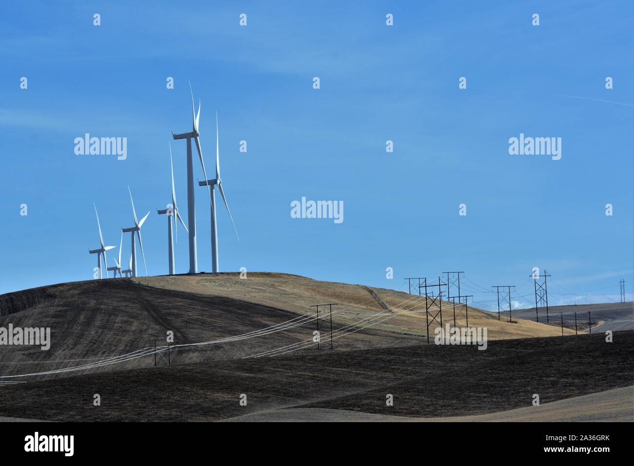 Wind turbines in far southeastern Washington state, in the USA, in the ...
