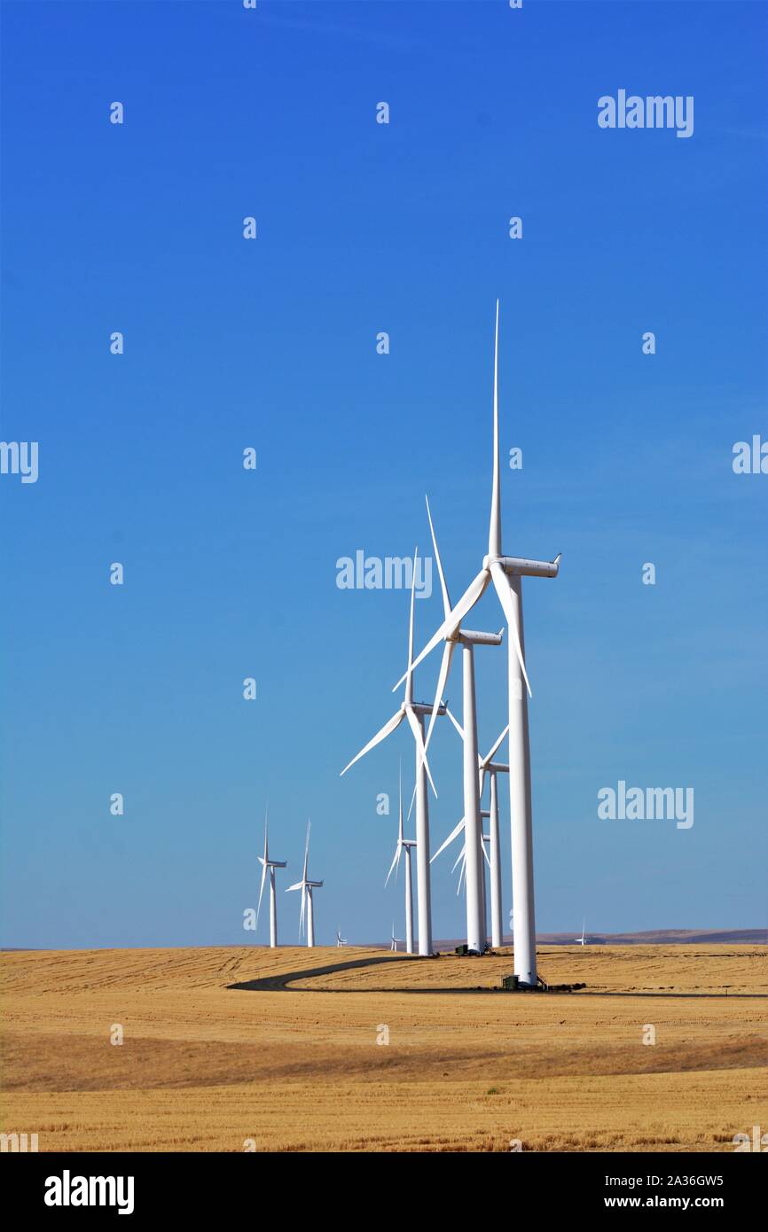 Wind turbines in far southeastern Washington state, in the USA, in the ...