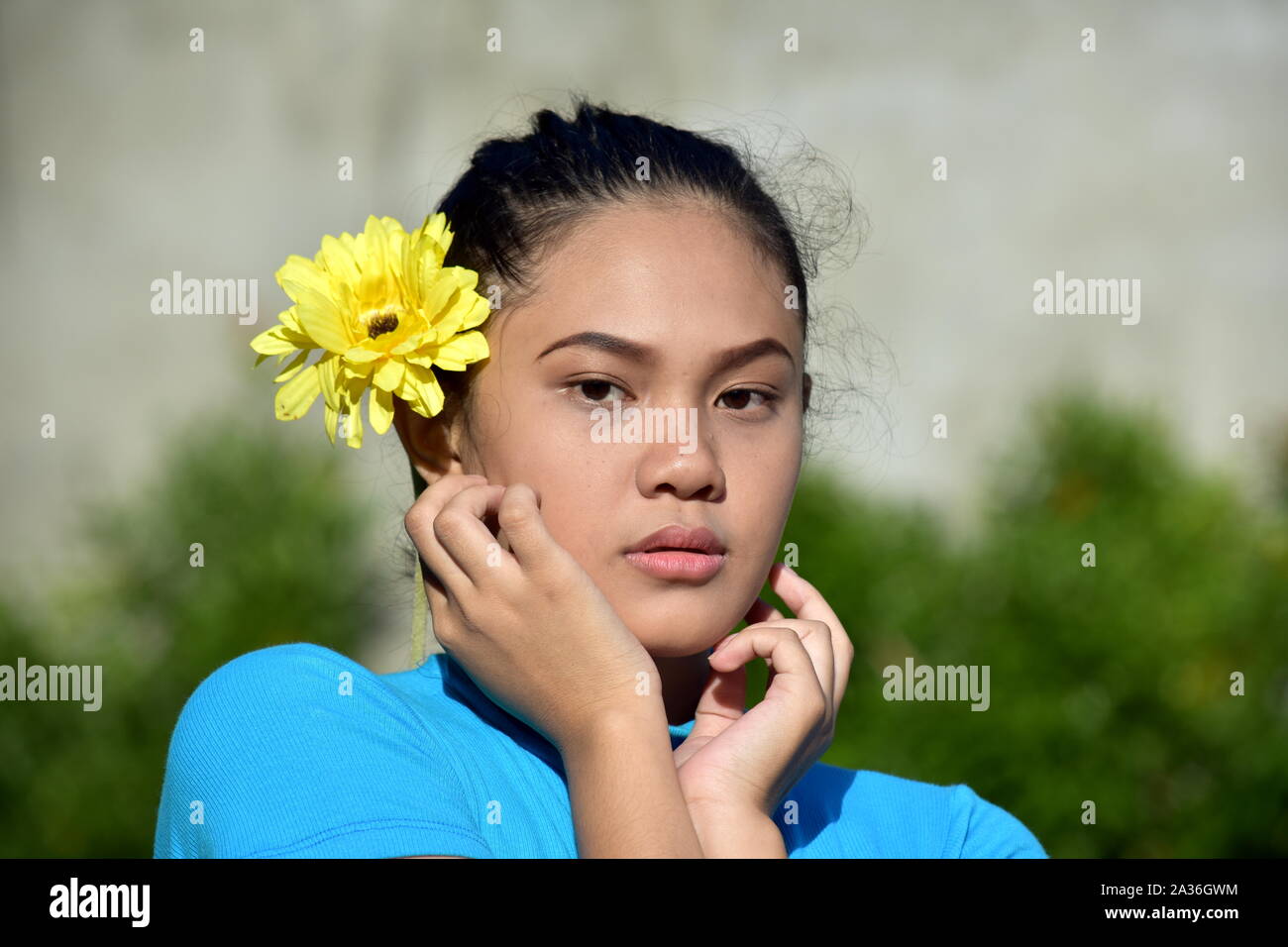 Serious pretty adult female hi-res stock photography and images - Alamy