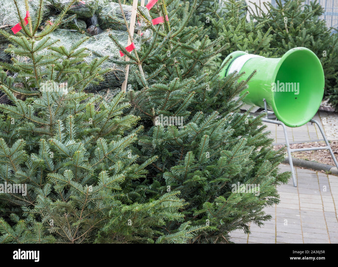 Christmas Tree Sales Stand Stock Photo - Alamy