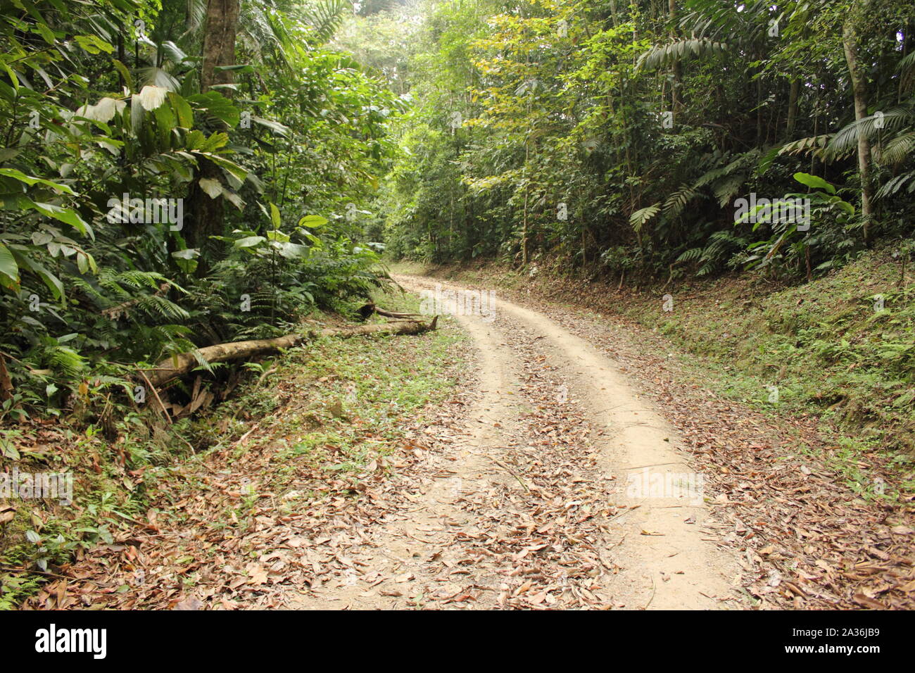 Path Through The Wilderness Stock Photo - Alamy