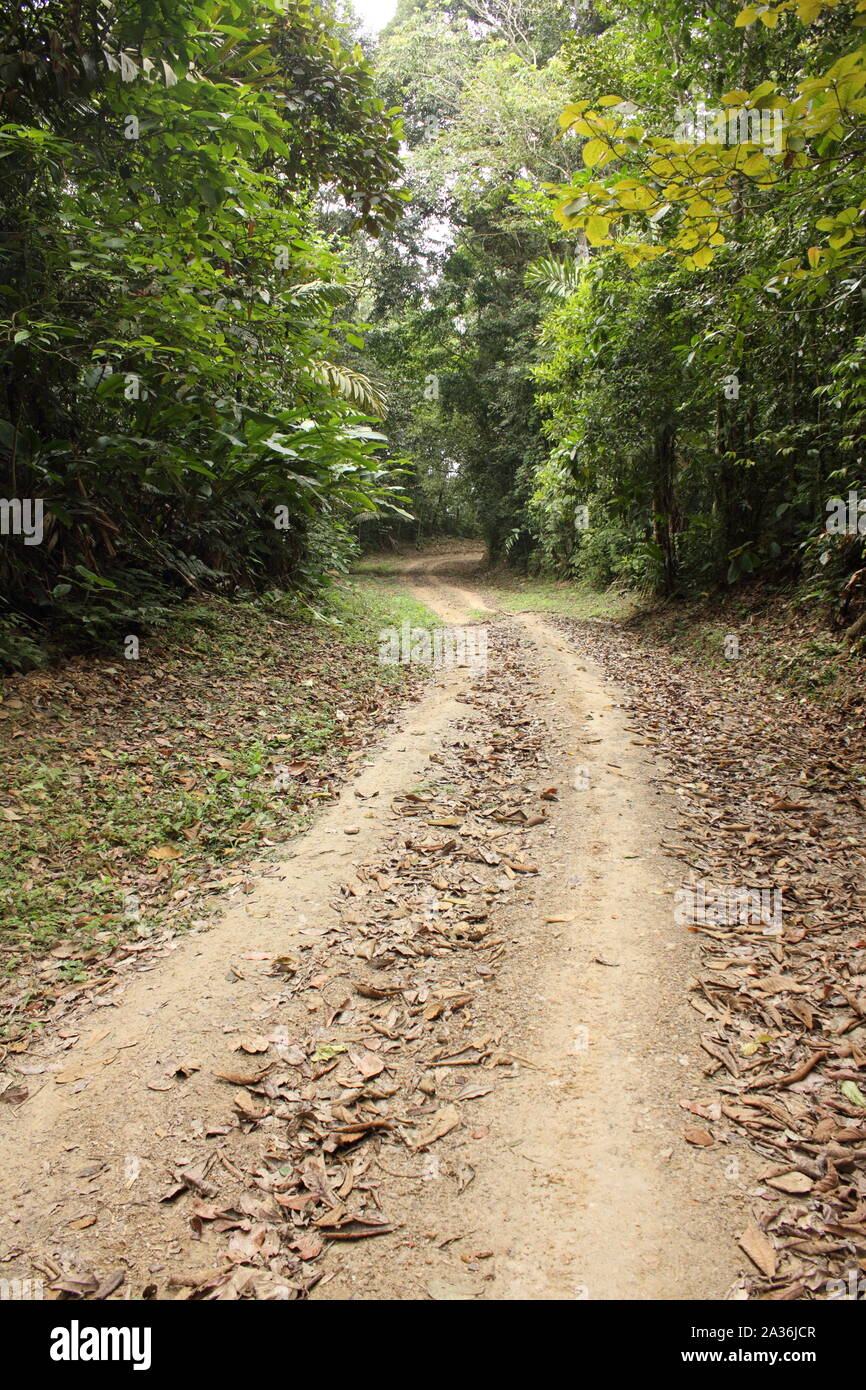 Mystical wilderness hi-res stock photography and images - Alamy