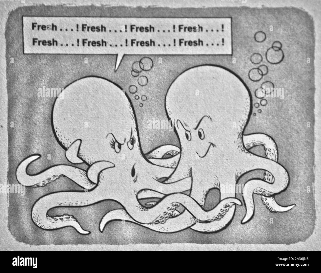Octopus Cartoon High Resolution Stock Photography and Images - Alamy