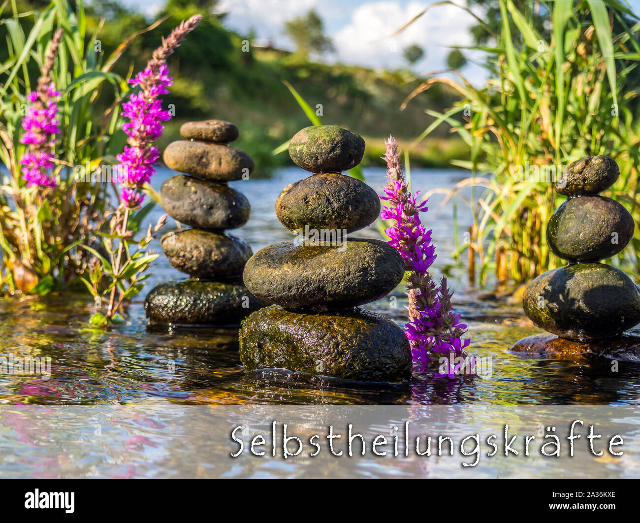 Self healing hi-res stock photography and images - Alamy