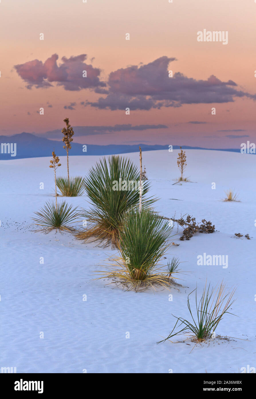 New mexico state park and hiking hi-res stock photography and images ...